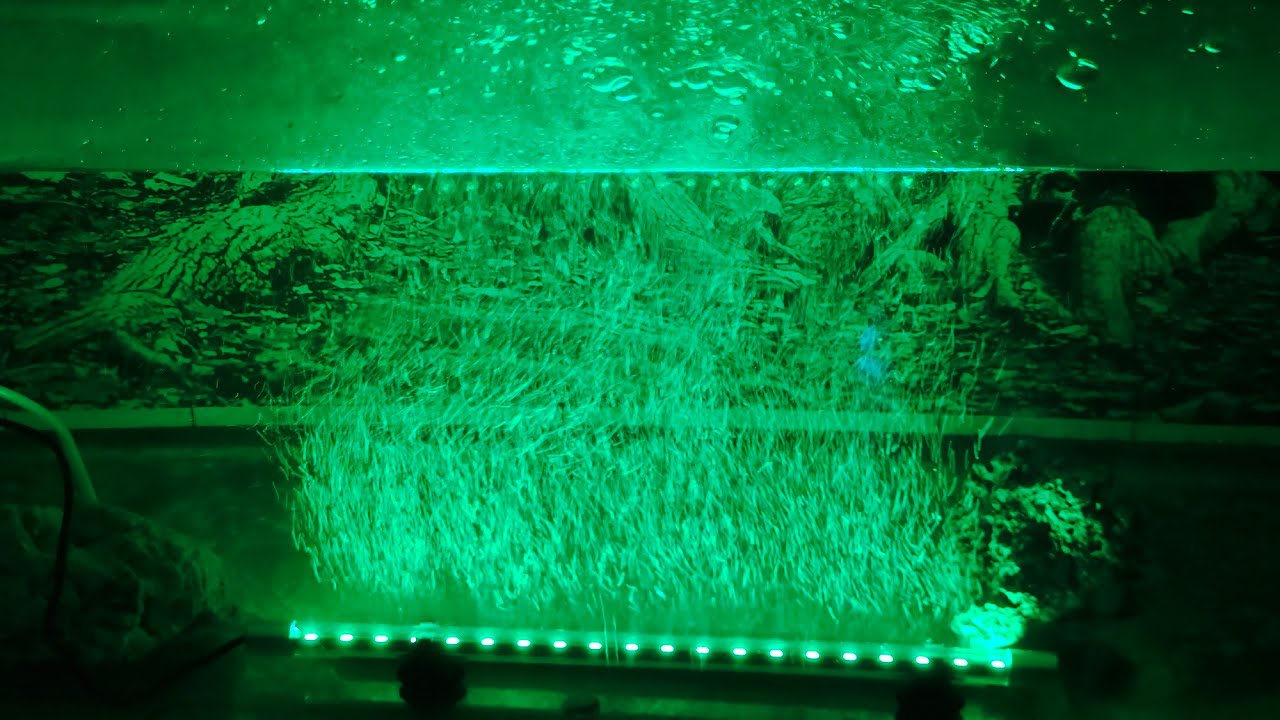 how to make bubbling led light with multi colour ! diy under water LED ...