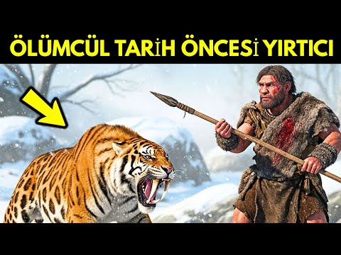 TARİH ÖNCESİNİN EN KÖTÜ YIRTICISI: KILIÇ DİŞLİ KAPLANLAR
