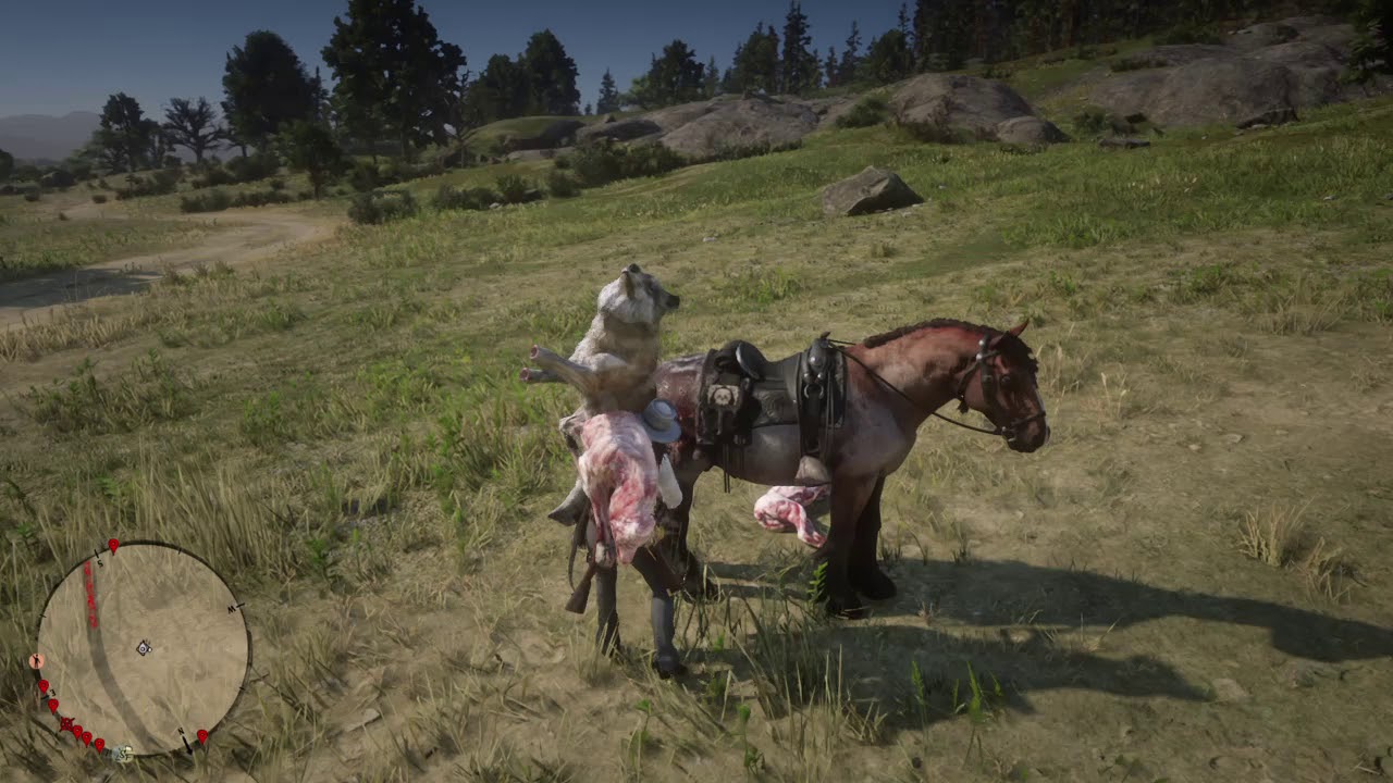 very weird wolf cadaver *2 - YouTube