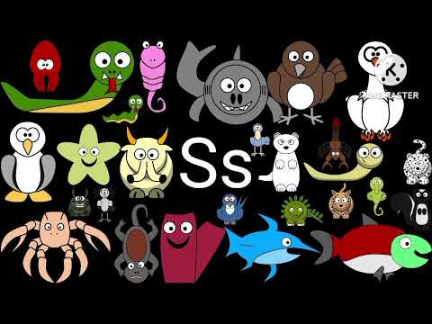 ABC Animals