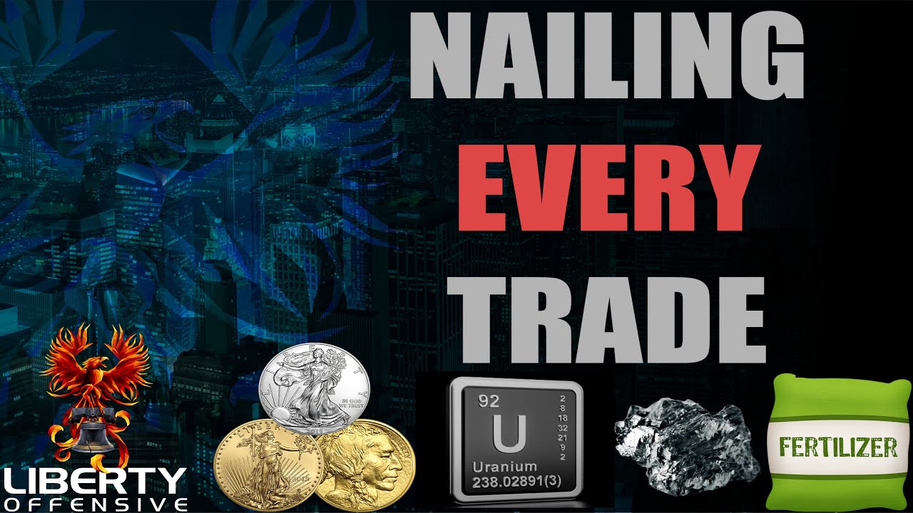 NAILING IT! What's Coming Next for Uranium, Rare Earth, Commodities ...