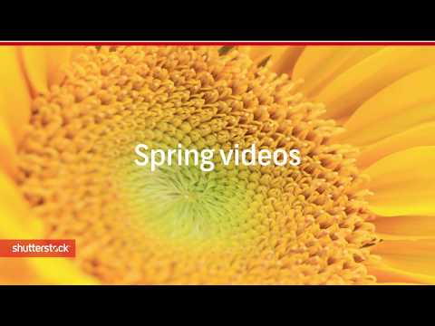Spring 2018 | Shutterstock