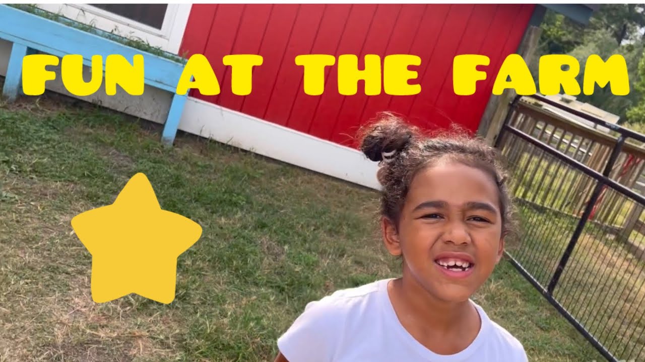 Fun with the Farm animals at the petting zoo - YouTube
