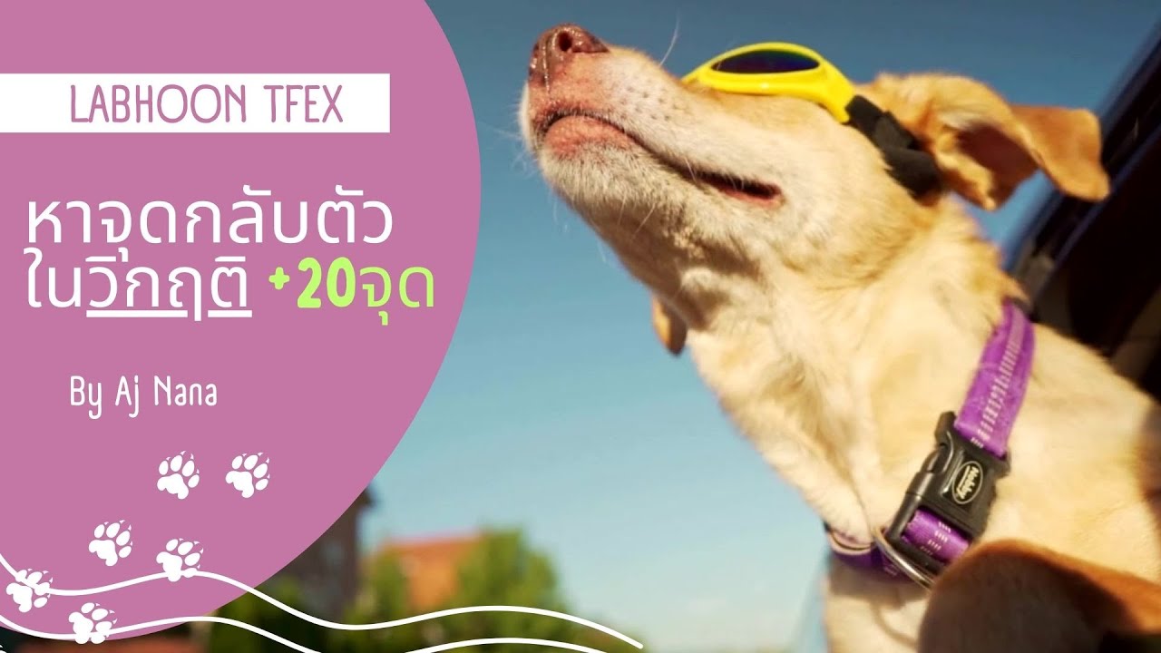 LABHOON TFEX หาจุดกลับตัวในวิกติ MOU +20 จุด ทำอย่างไร - YouTube