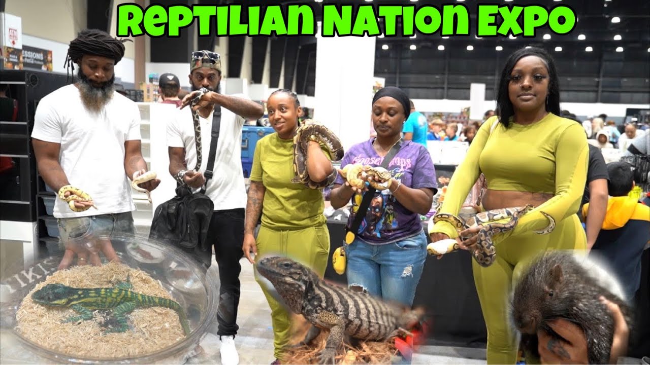 Day 11 - Exploring biggest reptile Show in America! Visiting some of ...