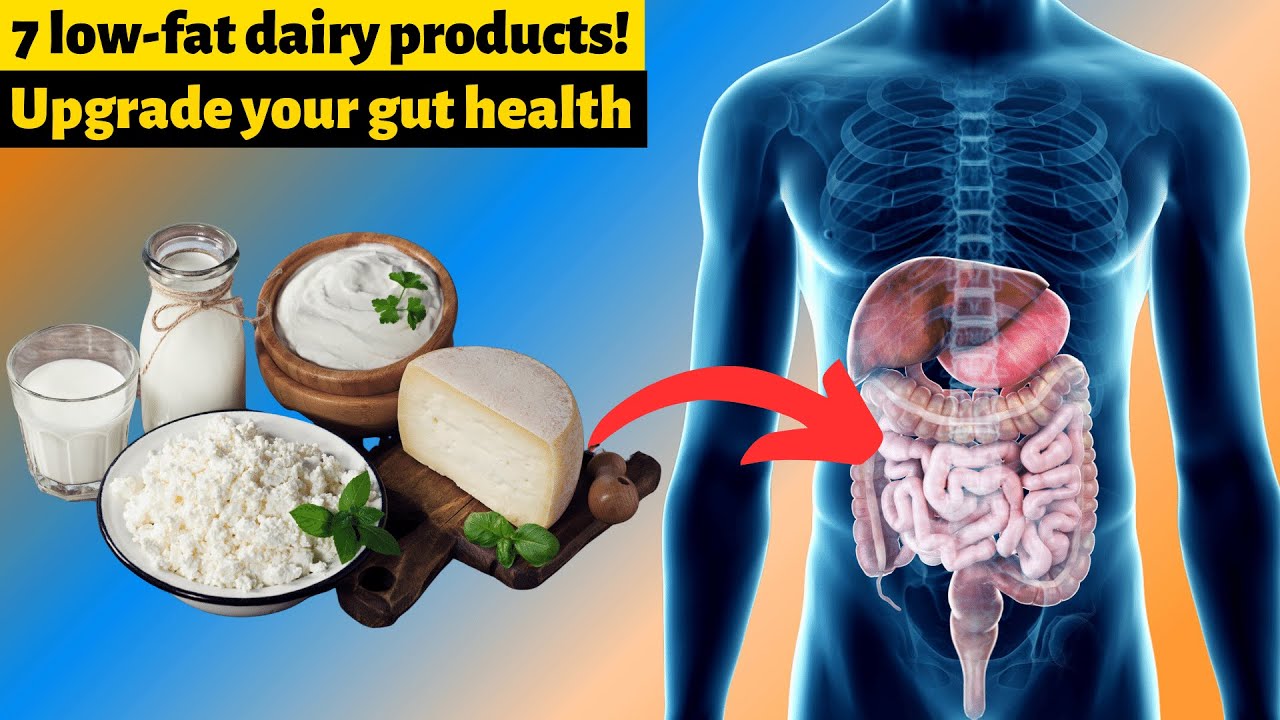7 low-fat dairy products for optimal digestive health! - YouTube