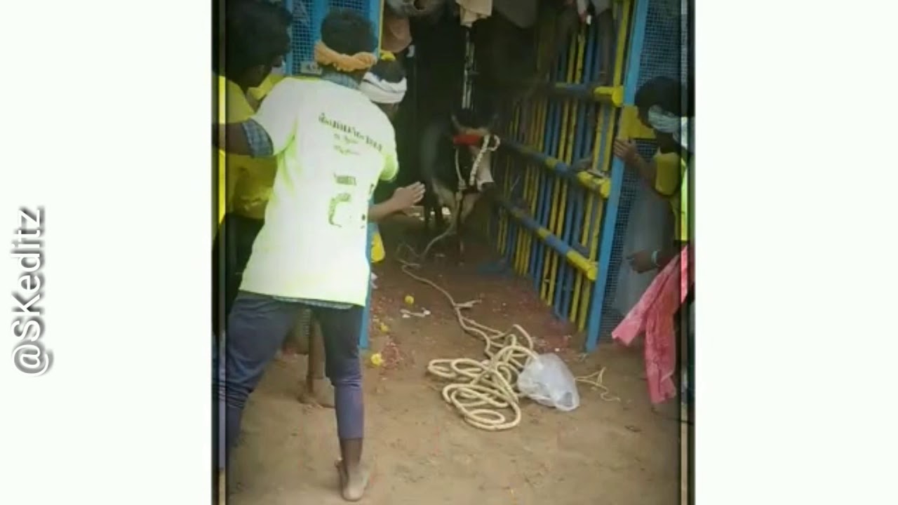 Trichy k sathanur JKR brother's in ROLEX - YouTube