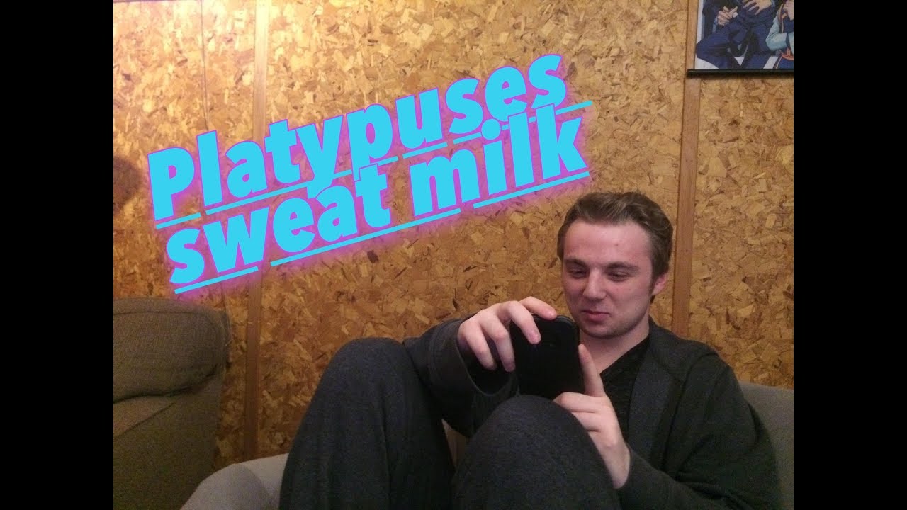 Platypuses Sweat Milk - YouTube