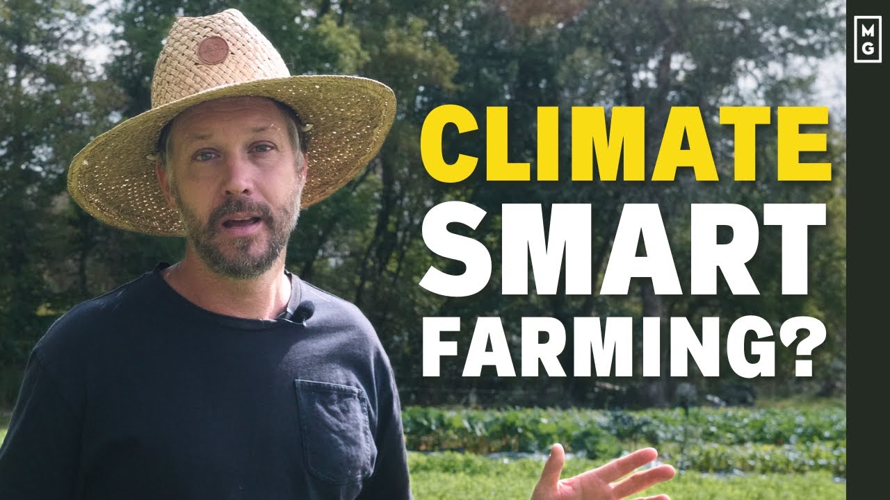 Climate-Smart Agriculture | Why Low-Tech Small Farms Are The ANSWER ...