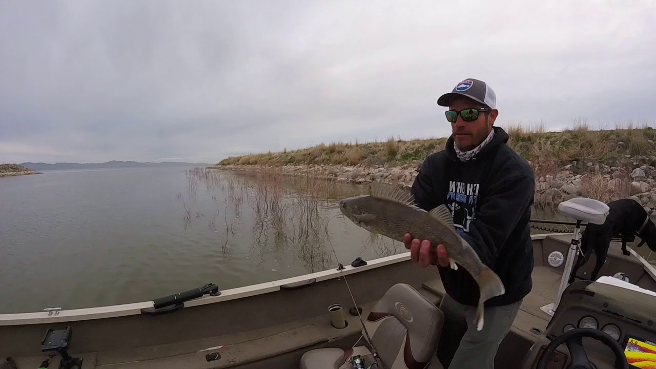 Me and pop fishing walleye utah - YouTube