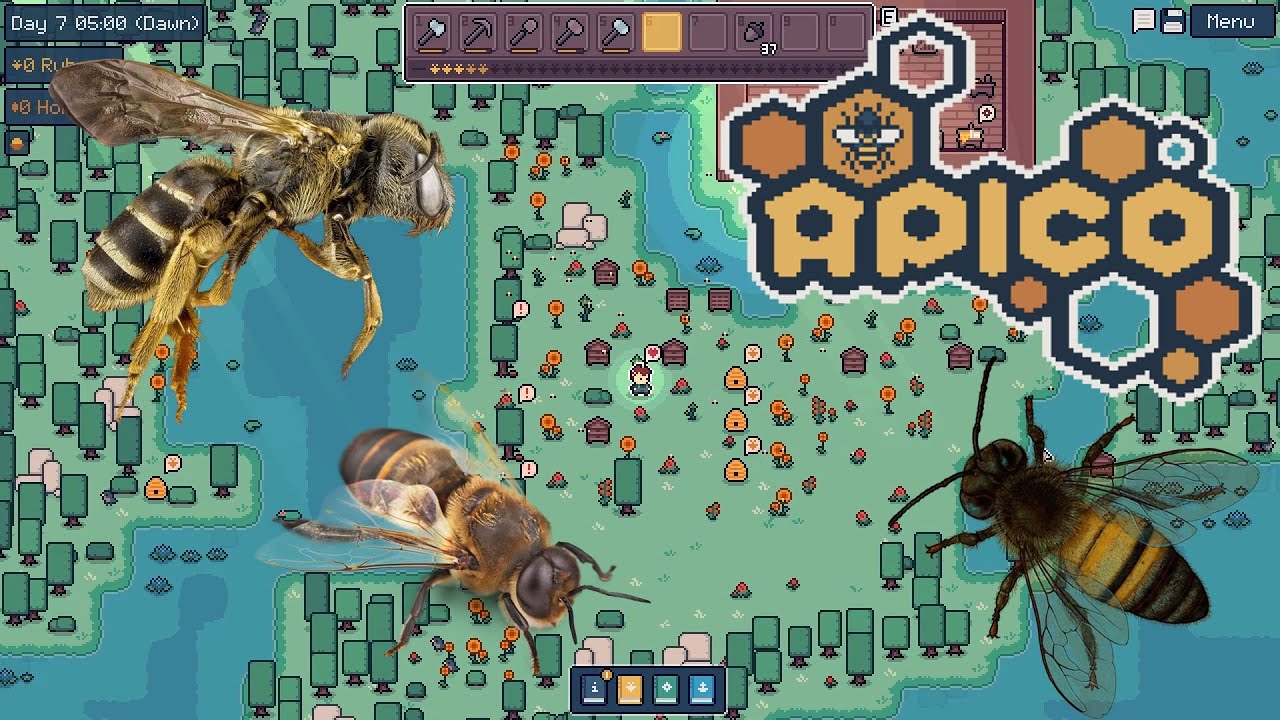 APICO - Let's Discover New Bee Species! - YouTube