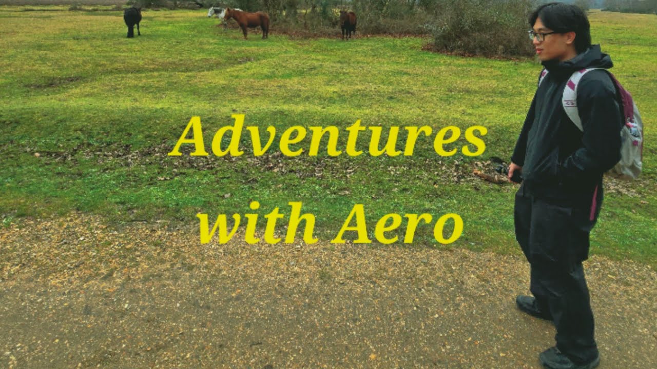 New Forest - Adventuring with Aero ft. dylan - YouTube
