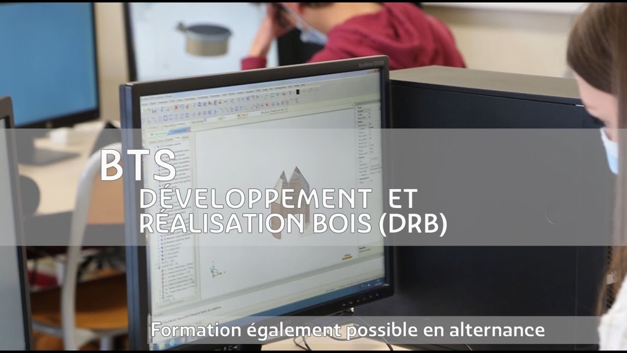 Lycée du Bois - BTS DRB - YouTube