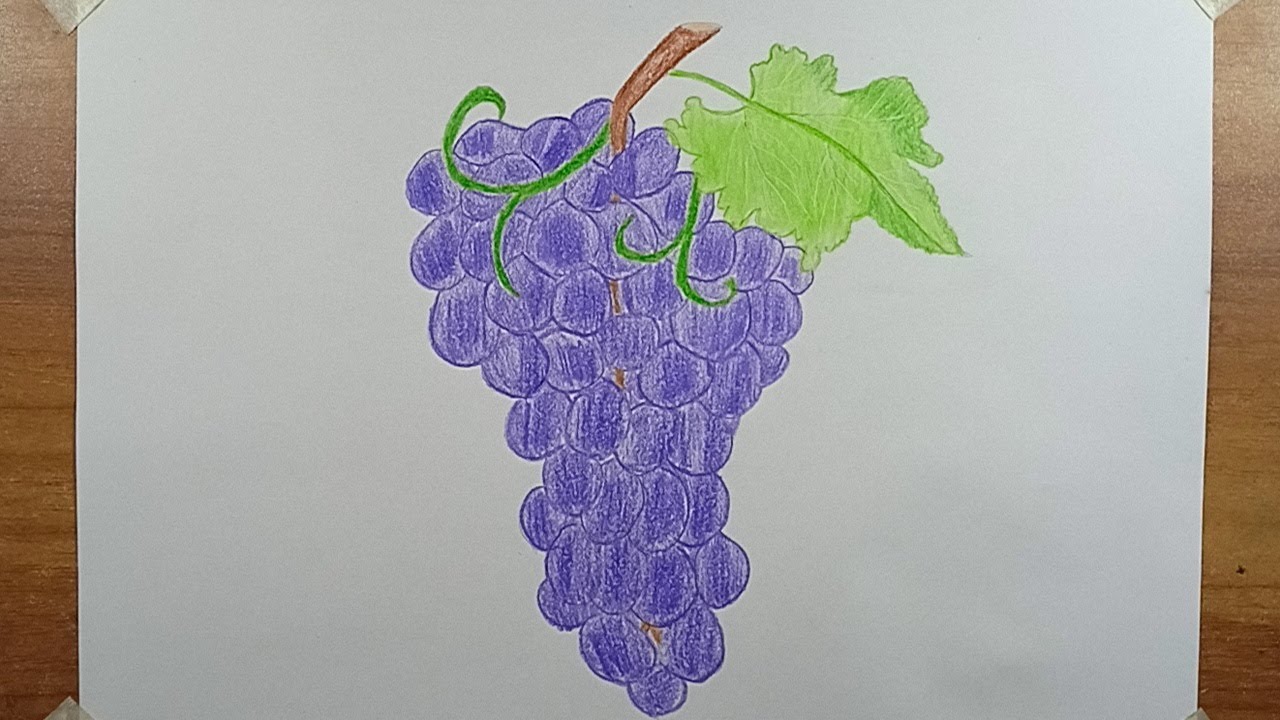 How to draw grapes step by step| Grapes drawing||art video||very easy ...