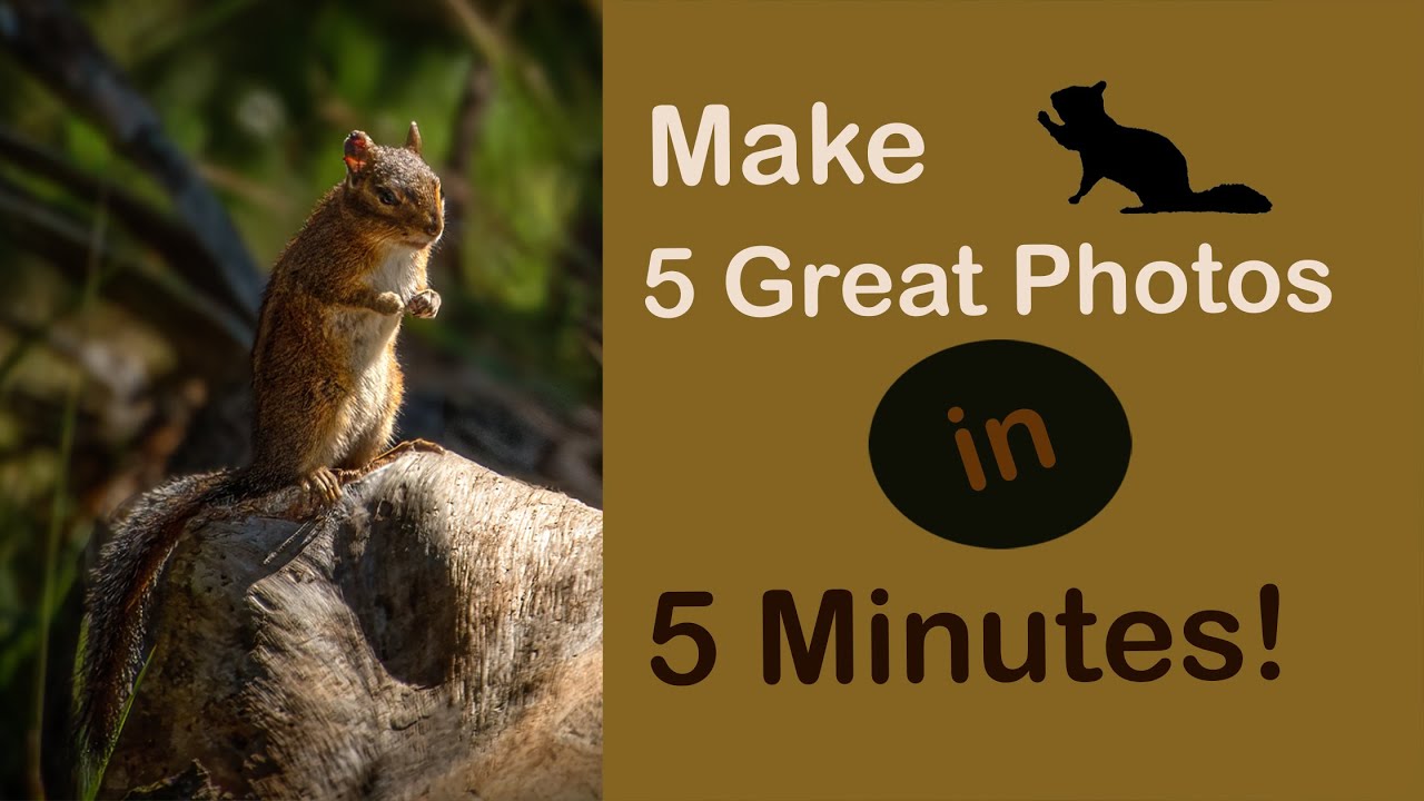 Make 5 Great Photos in 5 Minutes! - YouTube