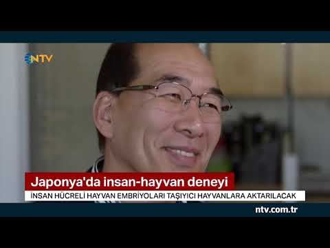 Dünyada bir ilk: İnsan-hayvan embriyo deneyine izin