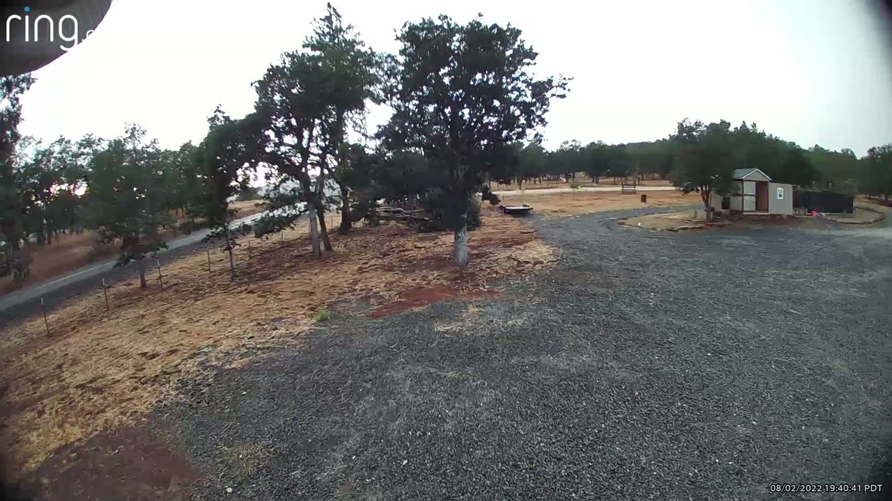 lighting strikes tree on Ring camera - YouTube
