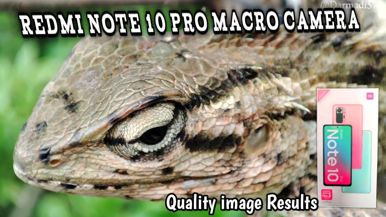 Redmi note 10 Pro macro kamera || Quality image results || photography ...