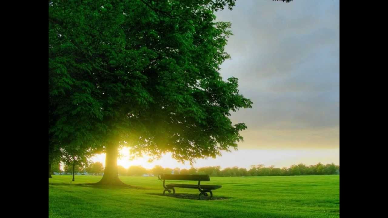 Haven Music Video - YouTube