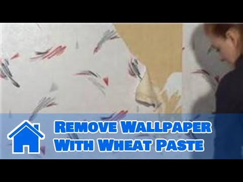 Wallpaper : How to Remove Wallpaper With Wheat Paste - YouTube