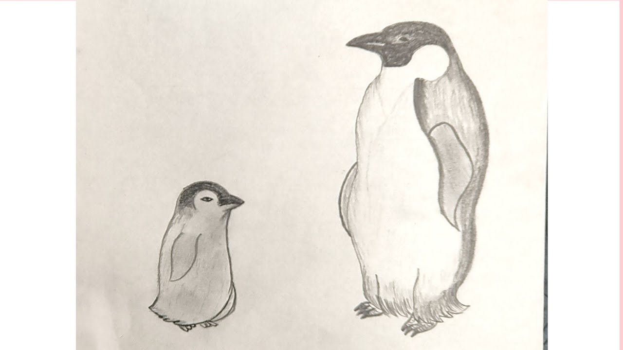 how to drawing a Penguin | easy Penguin drawing for bignners | - YouTube