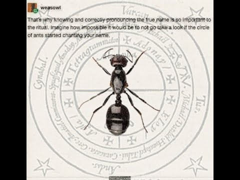 What Is His A Post For Ants Meme