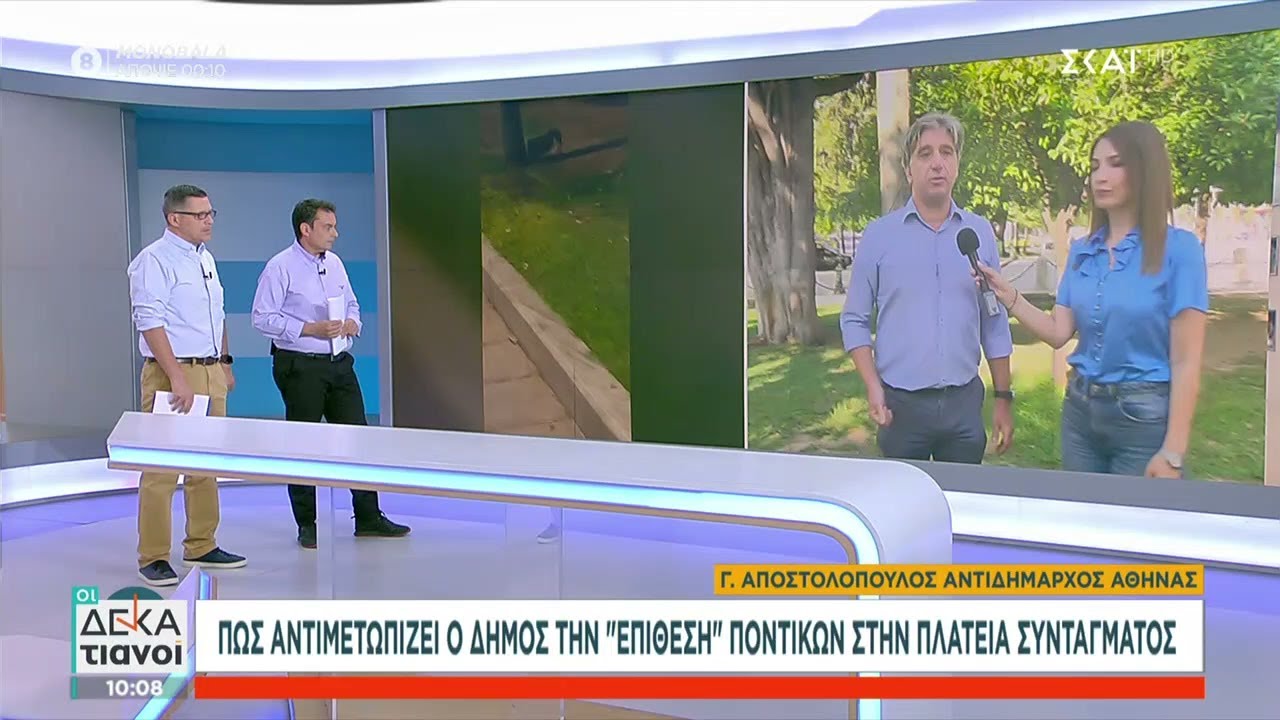 Ποντίκια έφτιαξαν φωλιές στην πλατεία Συντάγματος - Πως το ...