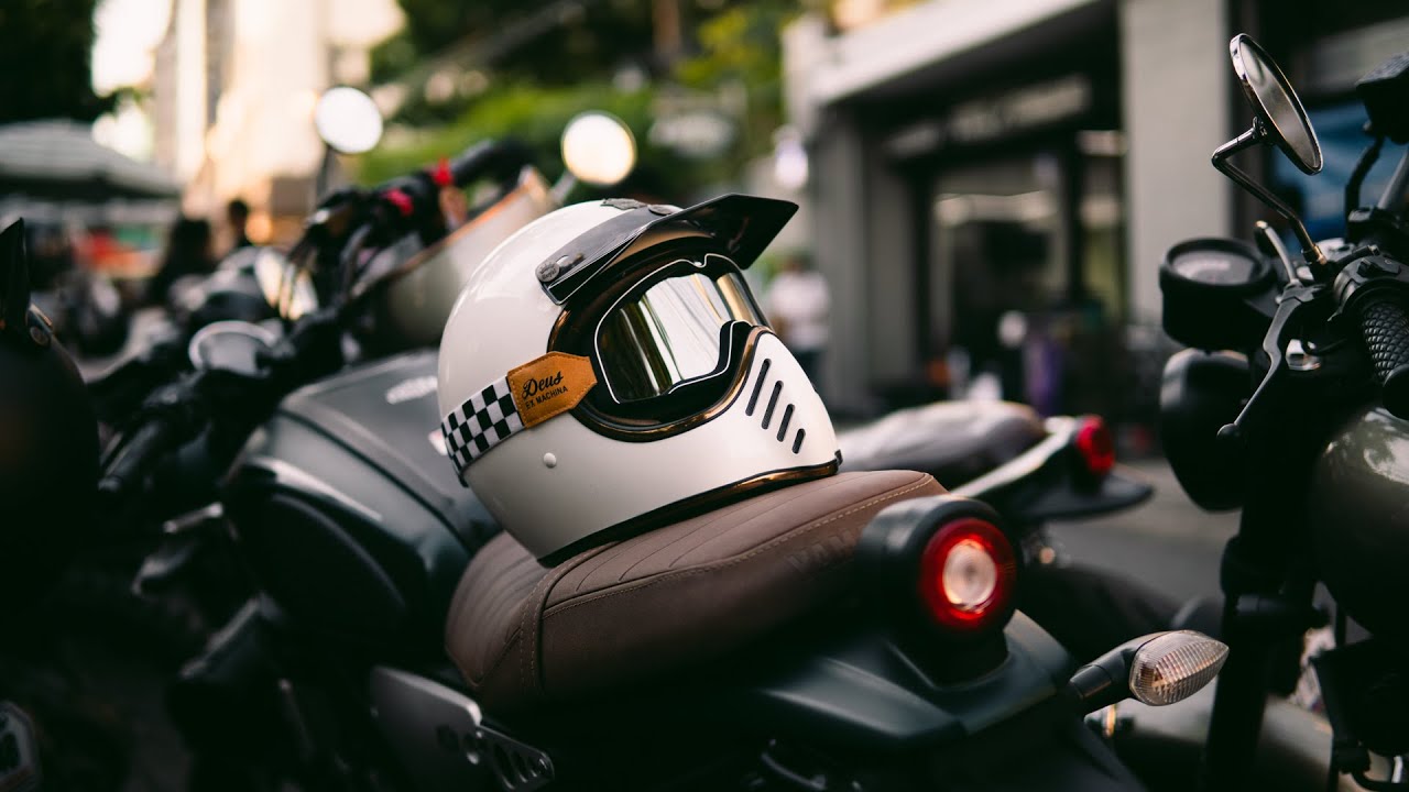 BIKES & PAWS - YouTube