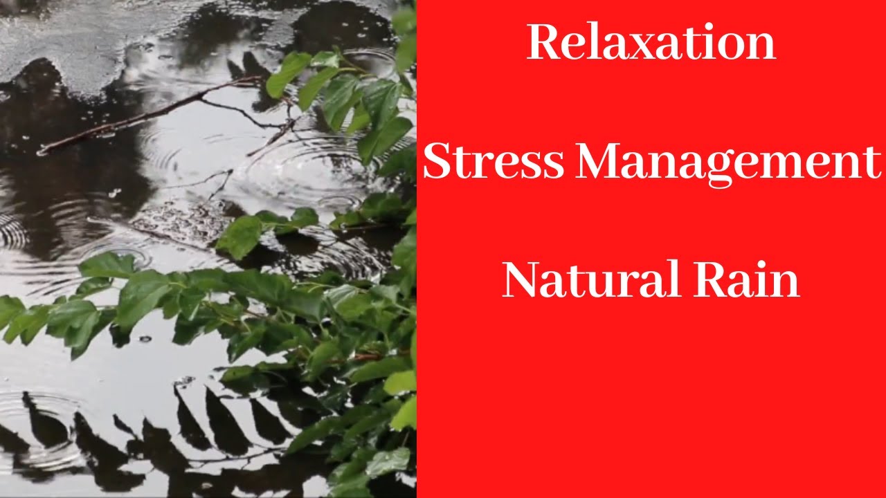 Relax and Manage your stress with Natural Rain - YouTube