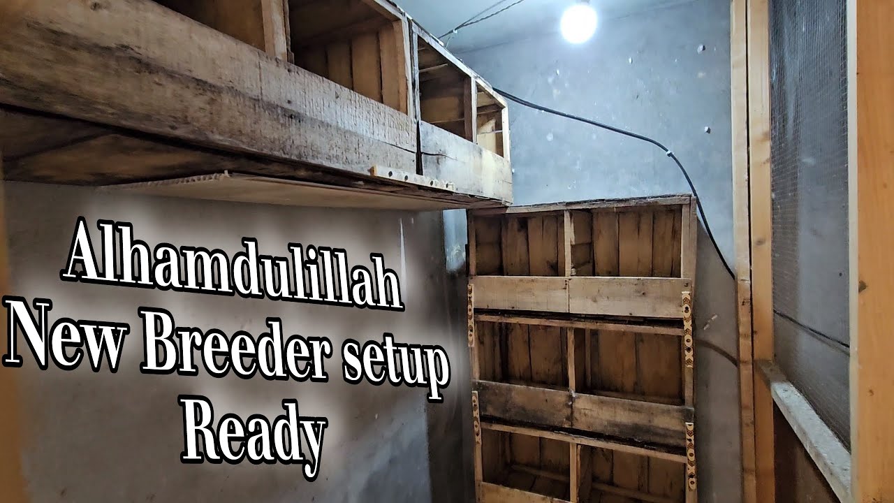 Alhamdulillah New Breeder setup Ready ho gya🙏 - YouTube