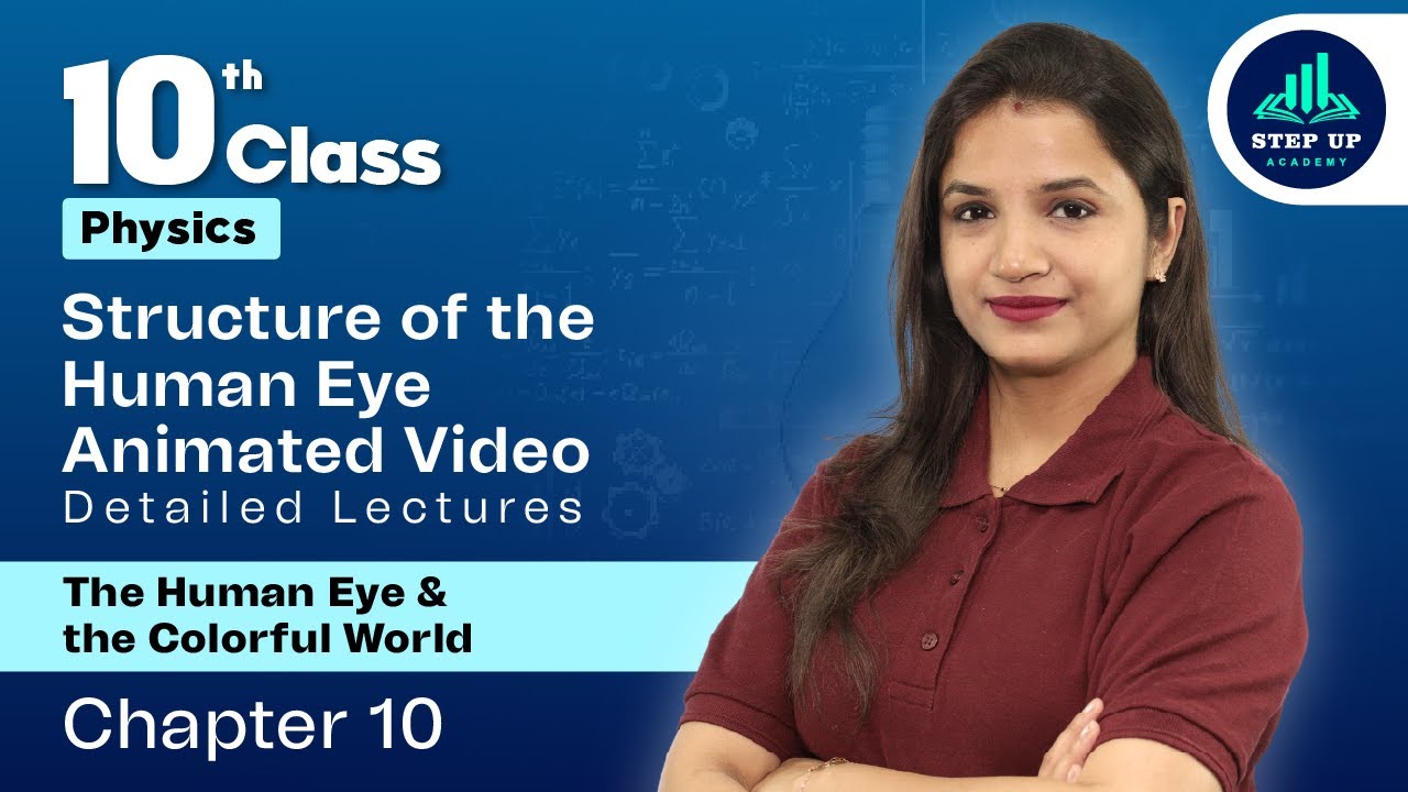 Structure of the Human Eye - Animated Video |Human Eye & Colorful World ...