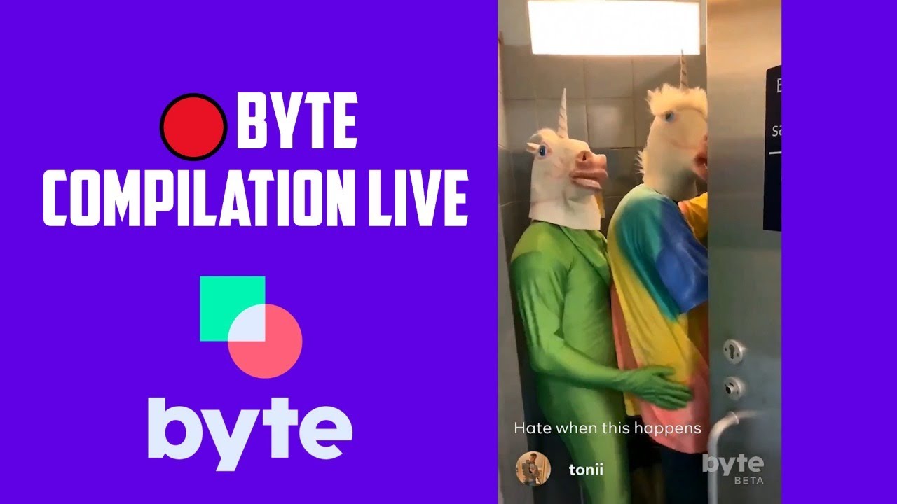 🔴 Funniest Bytes Ever Created • Livestream 24/7 • Best Byte Compilation ...