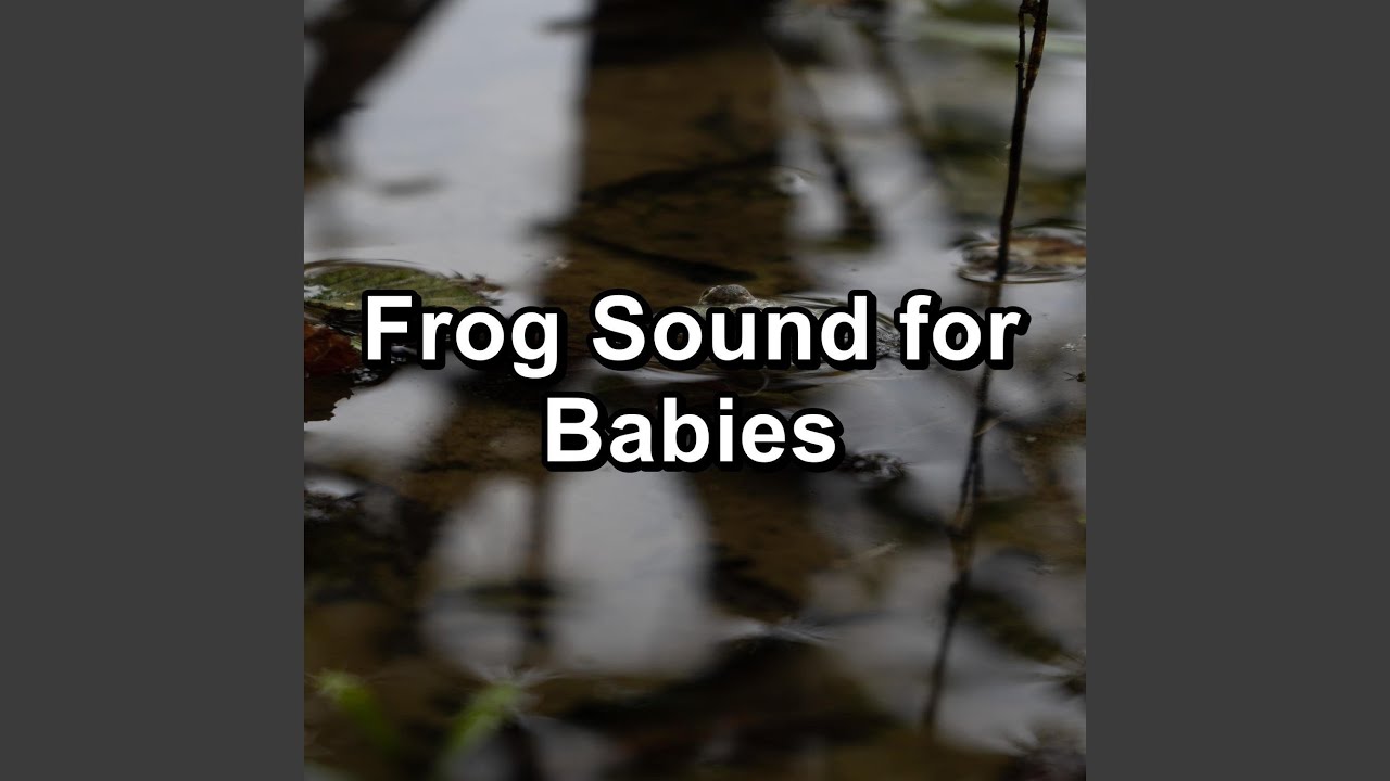 Sound of Frogs Marsh - YouTube