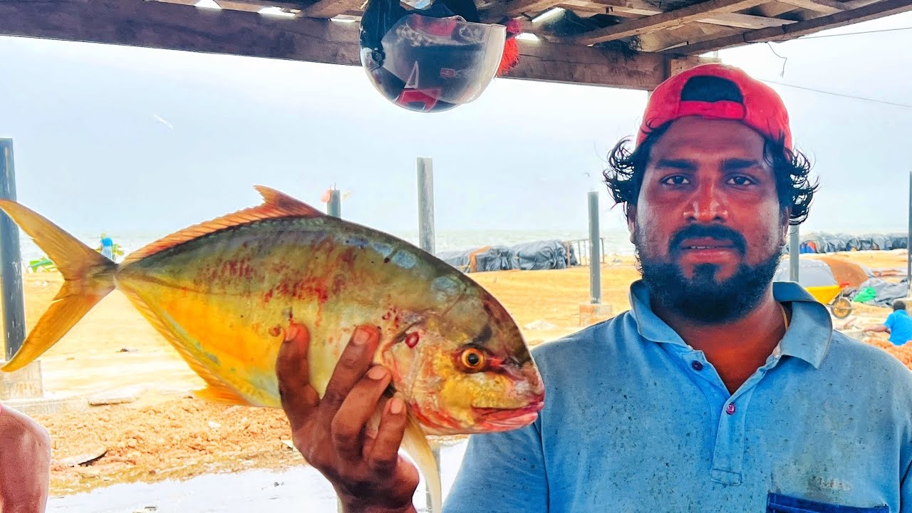 Yellowfin Trevally Fish Cutting Skill | Fastest Seer Fish Slicing ...