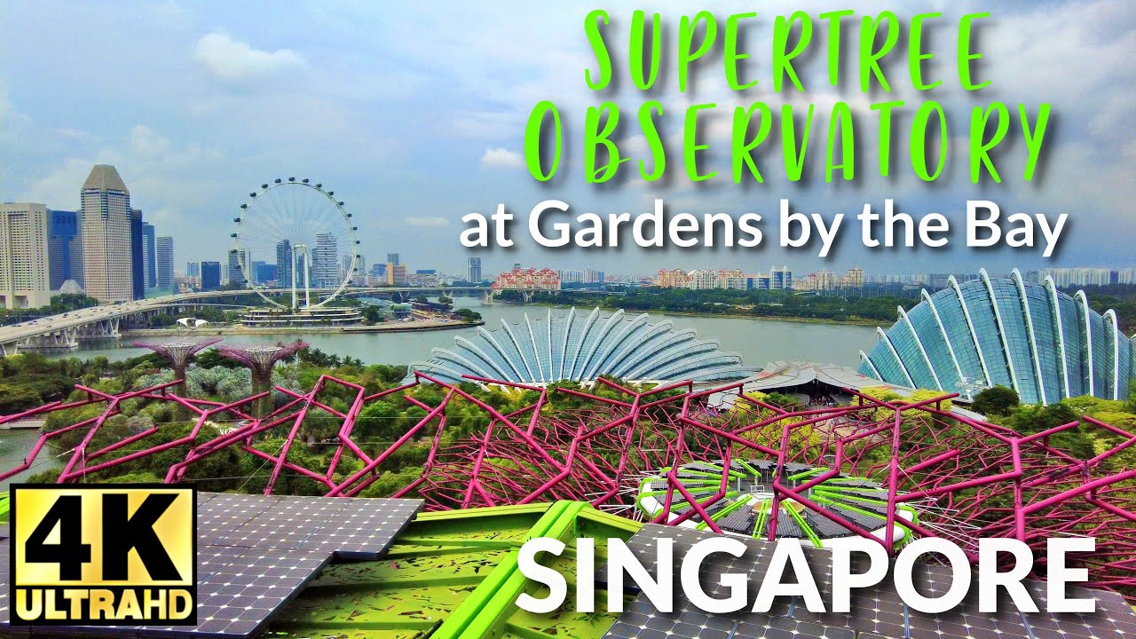 Walking tour around Supertree Observatory in Singapore | Garden by the ...