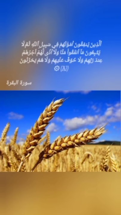 مَّثَلُ الَّذِينَ يُنفِقُونَ أَمْوَالَهُمْ فِي سَبِيلِ اللَّه 261