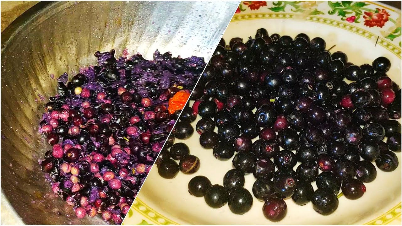 Kalo Jam Vorta Recipe | Best Popular Kalo Jam Vorta | Street Food At ...