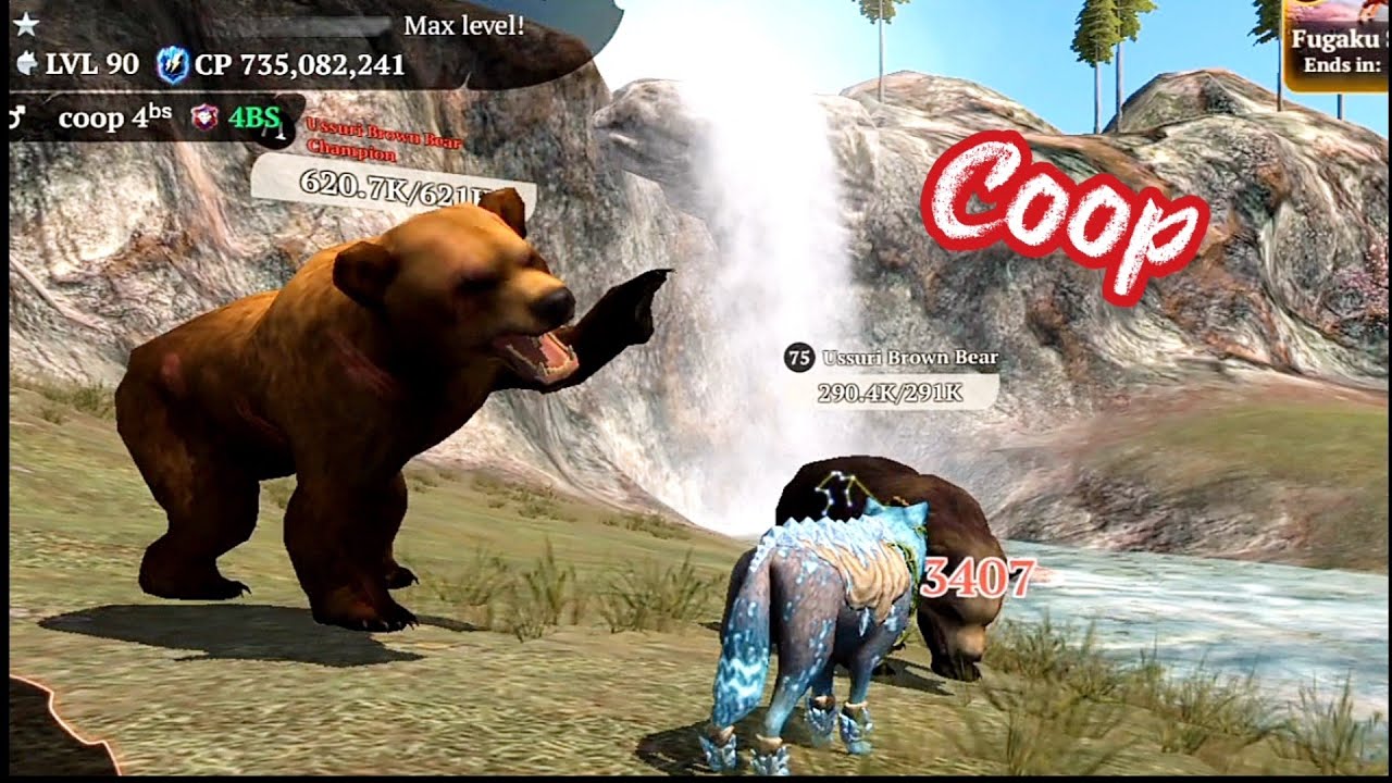 the wolf - Ussuri Brown Bear Champion #thewolf - YouTube