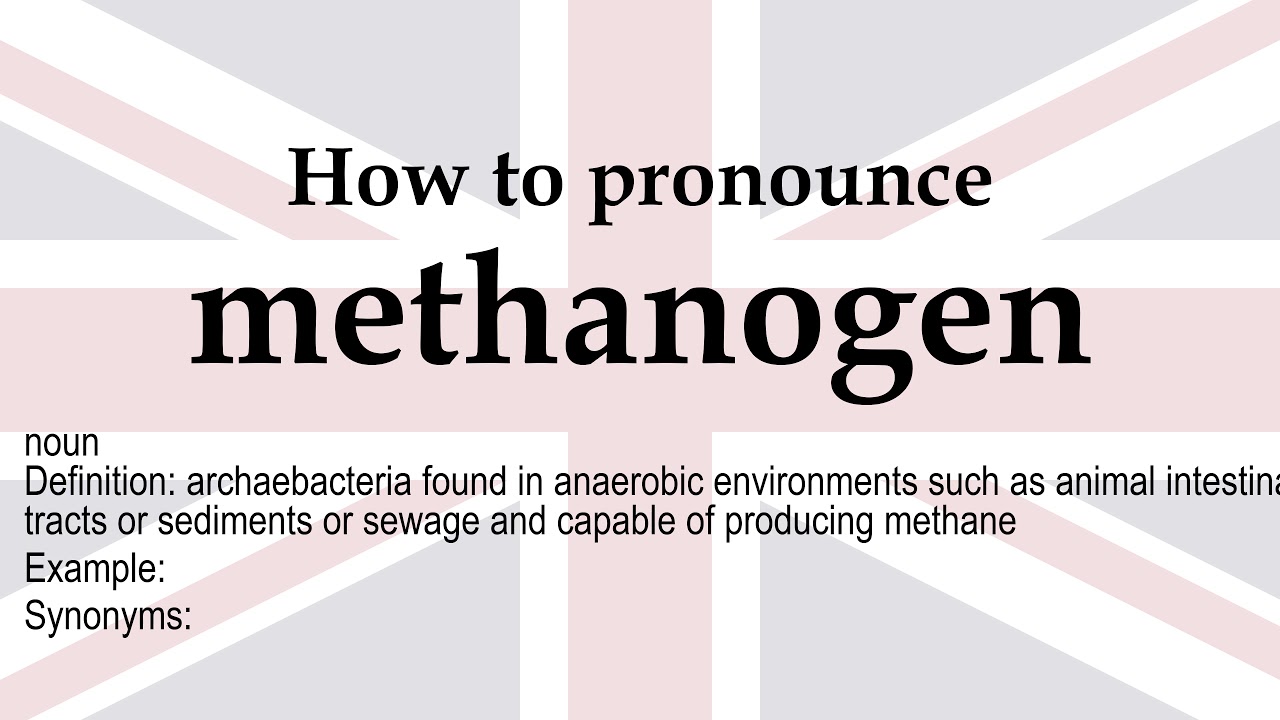 How to pronounce 'methanogen' + meaning - YouTube