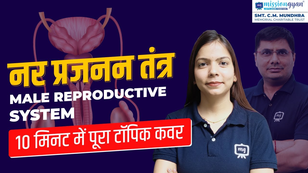 Male Reproductive System | Male Reproductive System in One Shot ...