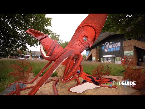 BRICKLIVE OCEAN has arrived at Knowsley Safari for the Summer | The ...