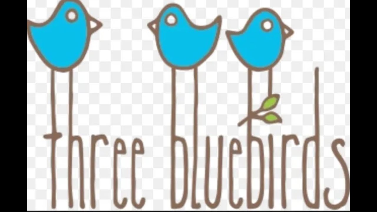 Three Bluebirds: Swedish Dishcloths - Part 2: Review - YouTube
