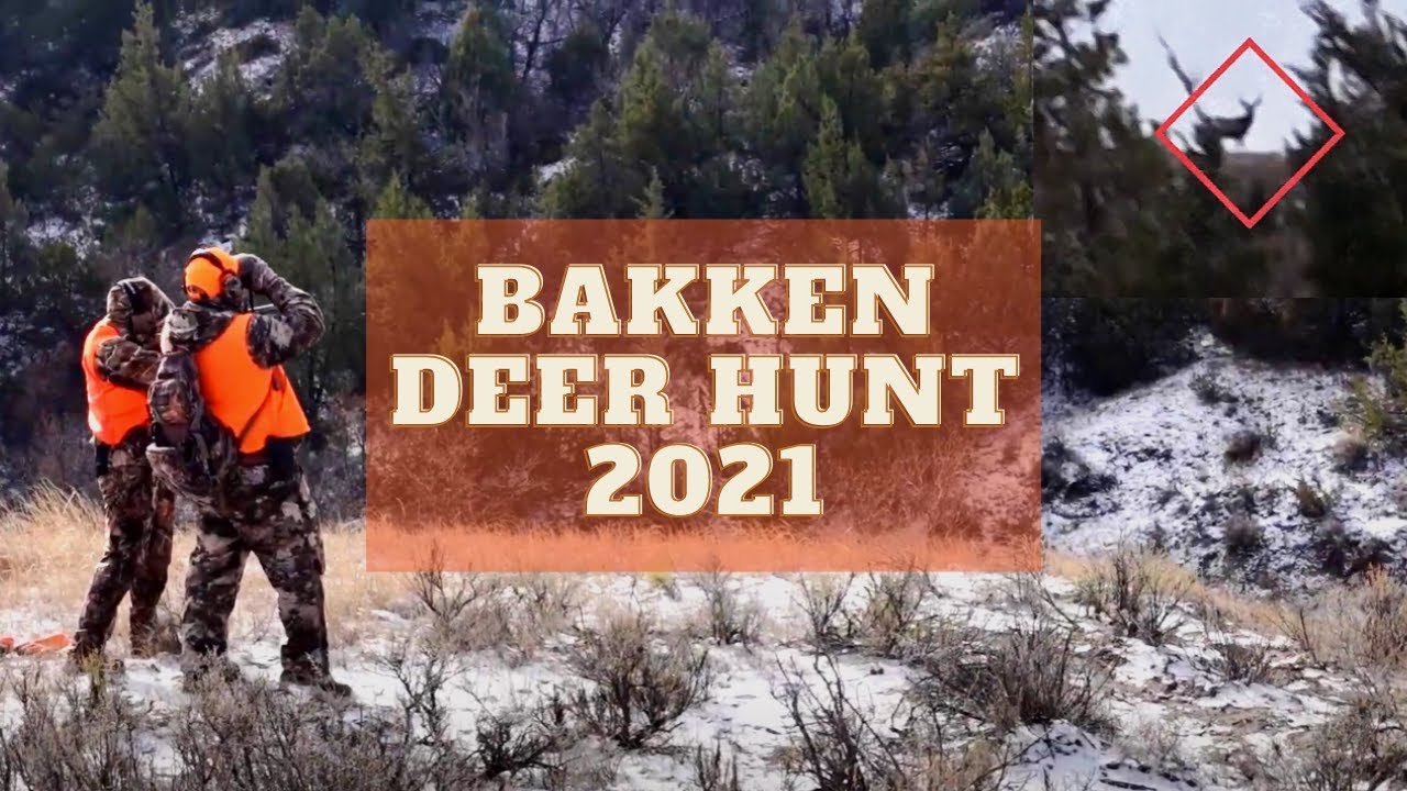 Bakken Deer Hunting 2021 - YouTube