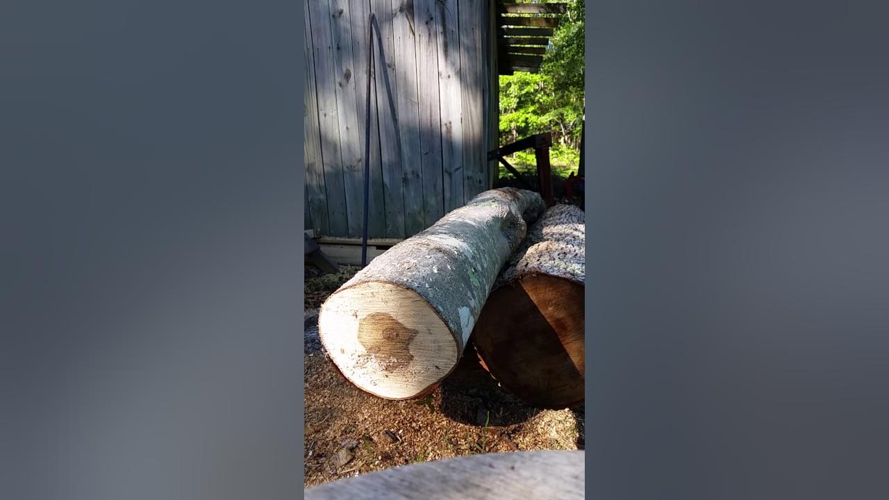 Hitachi CS33ET wearing 14" LP Chisel - YouTube