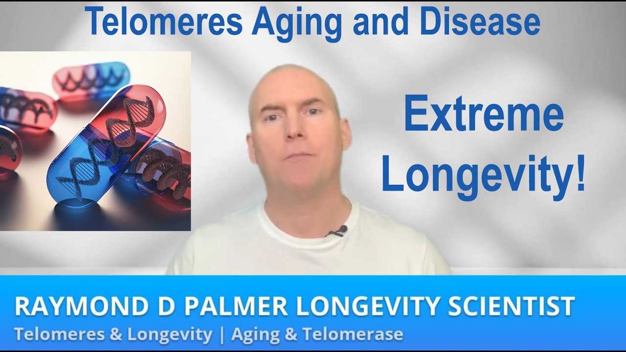 Telomeres Longevity Aging and Disease - YouTube