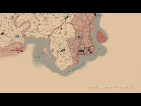 Clamshell Orchid Location - Red Dead Redemption 2 - YouTube