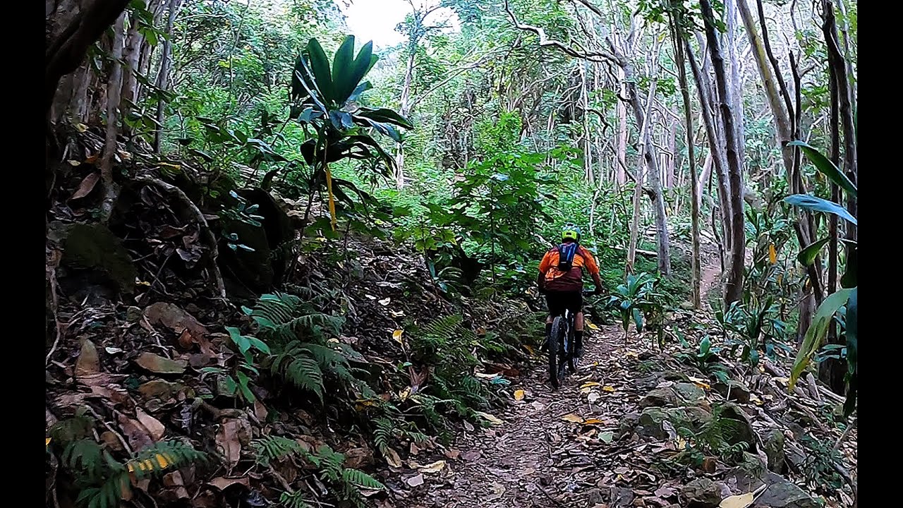 Ohana Trail on a Haibike Xduro Dwnhll 8.0 - YouTube