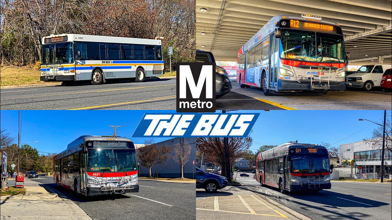 WMATA & Prince George's County Transit Bus Compilation in Greenbelt ...
