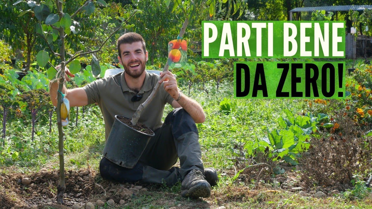 PIANTARE gli alberi da FRUTTO! Come, quando e perché fare un FRUTTETO ...