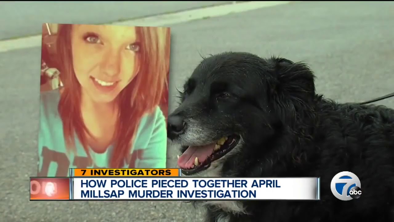 APRIL MILLSAP CASE - ARMADA, MI - YouTube